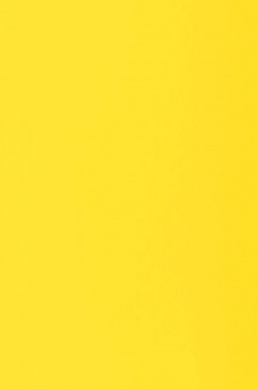 Liquitex Basics Acrylic Studio: Fluorescent Yellow 22ml - The Oil Paint ...